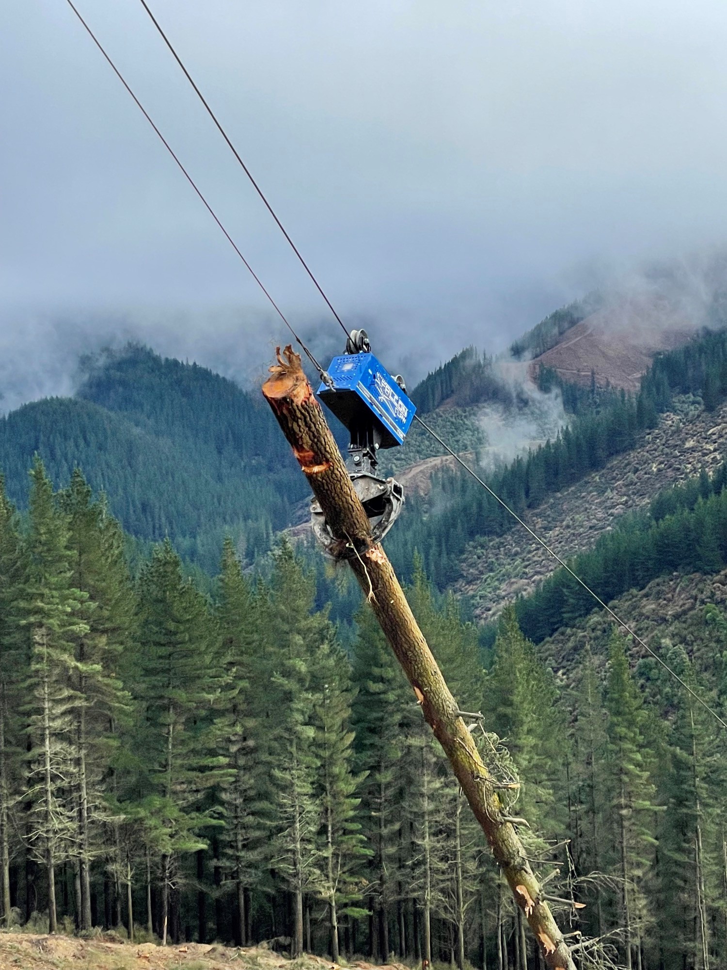 Madill Tower Yarder 172